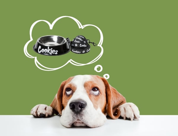 The highest Quality Vapes from around the world – PuffItUp